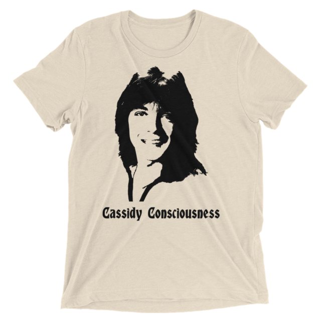 We Chat With Shaun Partridge of ‘The Partridge Family Temple’ | The Aither