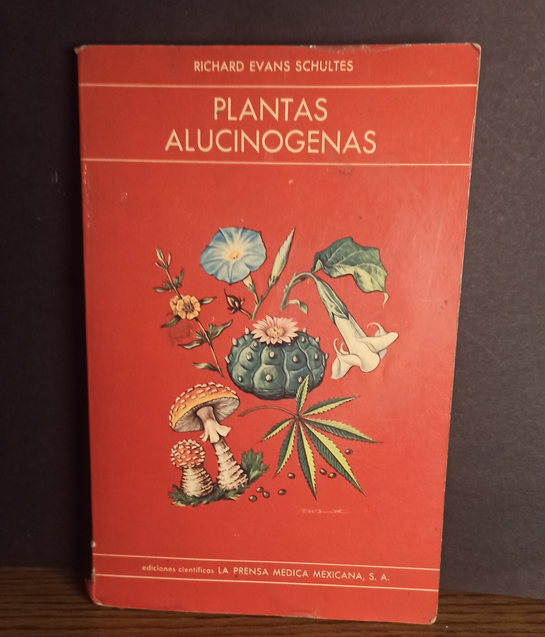 We Chat With Nikolas Schreck - Musician, Writer, Buddhist, Occult ...